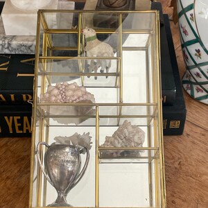 Vintage Large Glass and Brass Mirrored Display Case / Mirrored Hanging ...