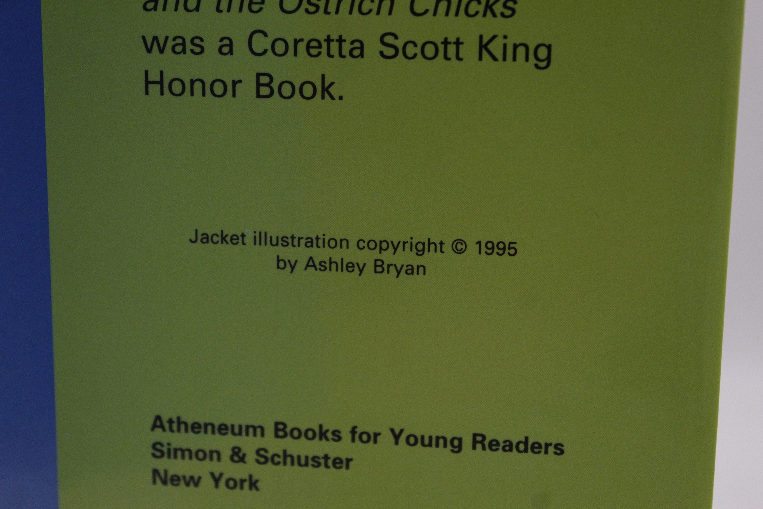 Vintage What a World Children's Book, Ashley Bryan Illustrations (V8634 ...