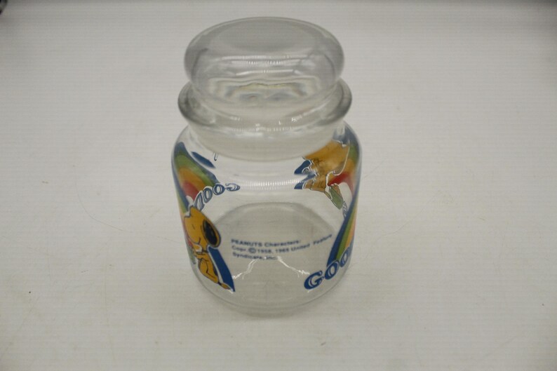 Vintage Peanuts Snoopy Goodies Glass Jar With Lid Woodstock Apothocary ...