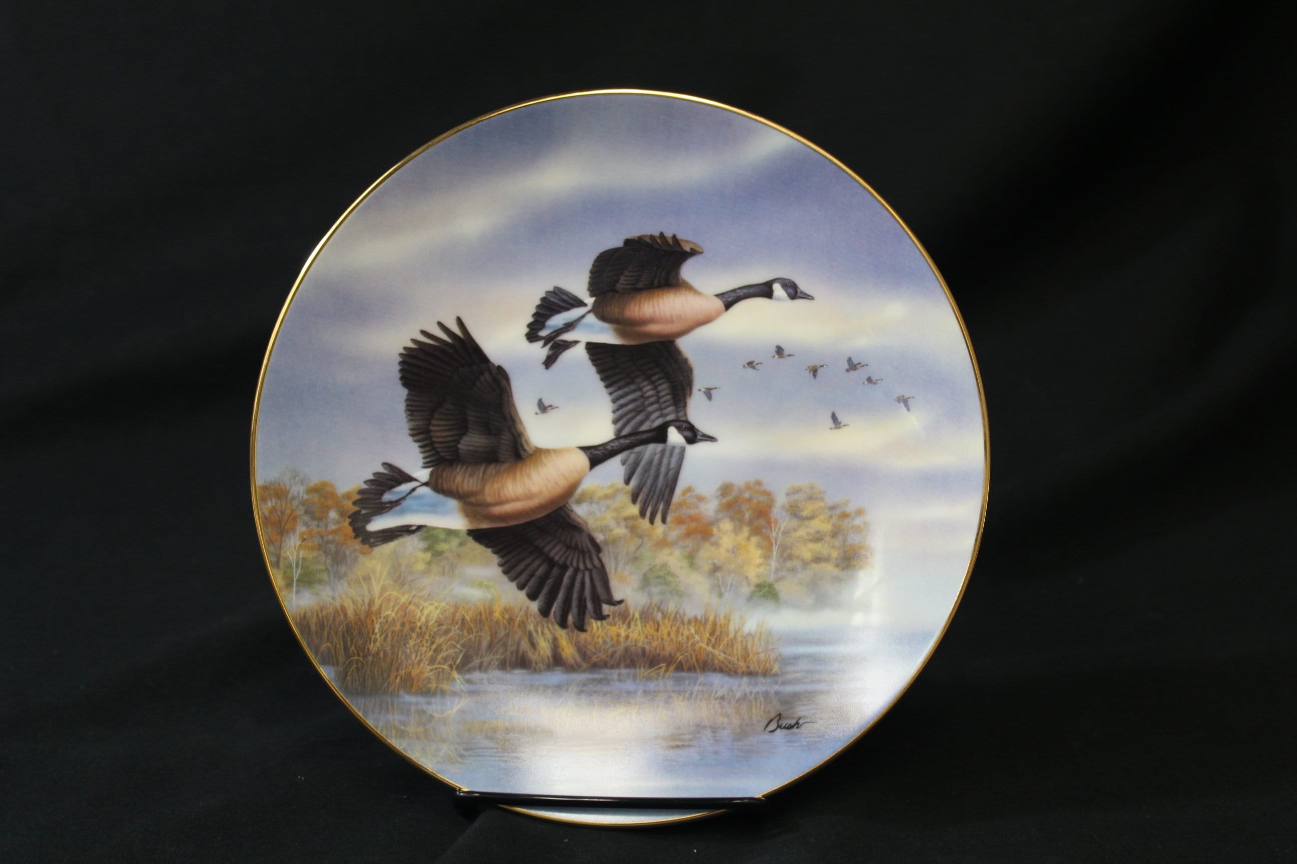 Vintage in Flight Canada Goose Plate V2316 - Etsy UK