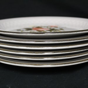 Vintage Color Stone by Nikko Pink Floral Dinner Plates, Set of 6 (V1434 ...