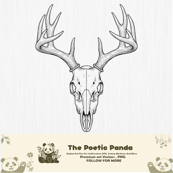 Buck Skull Outline Clipart Best