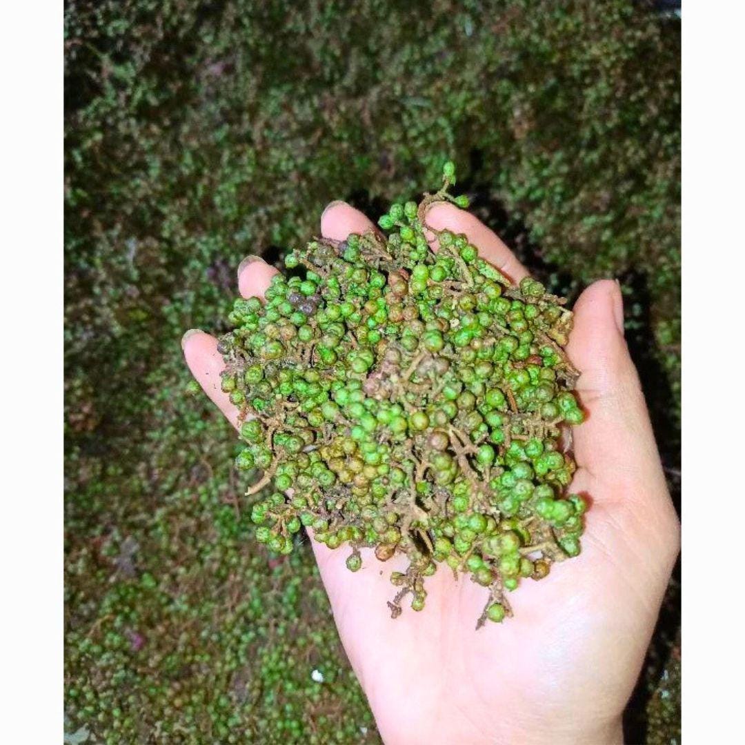Organic Batak Pepper | Andaliman | Rare Indonesian Spice for Exotic ...