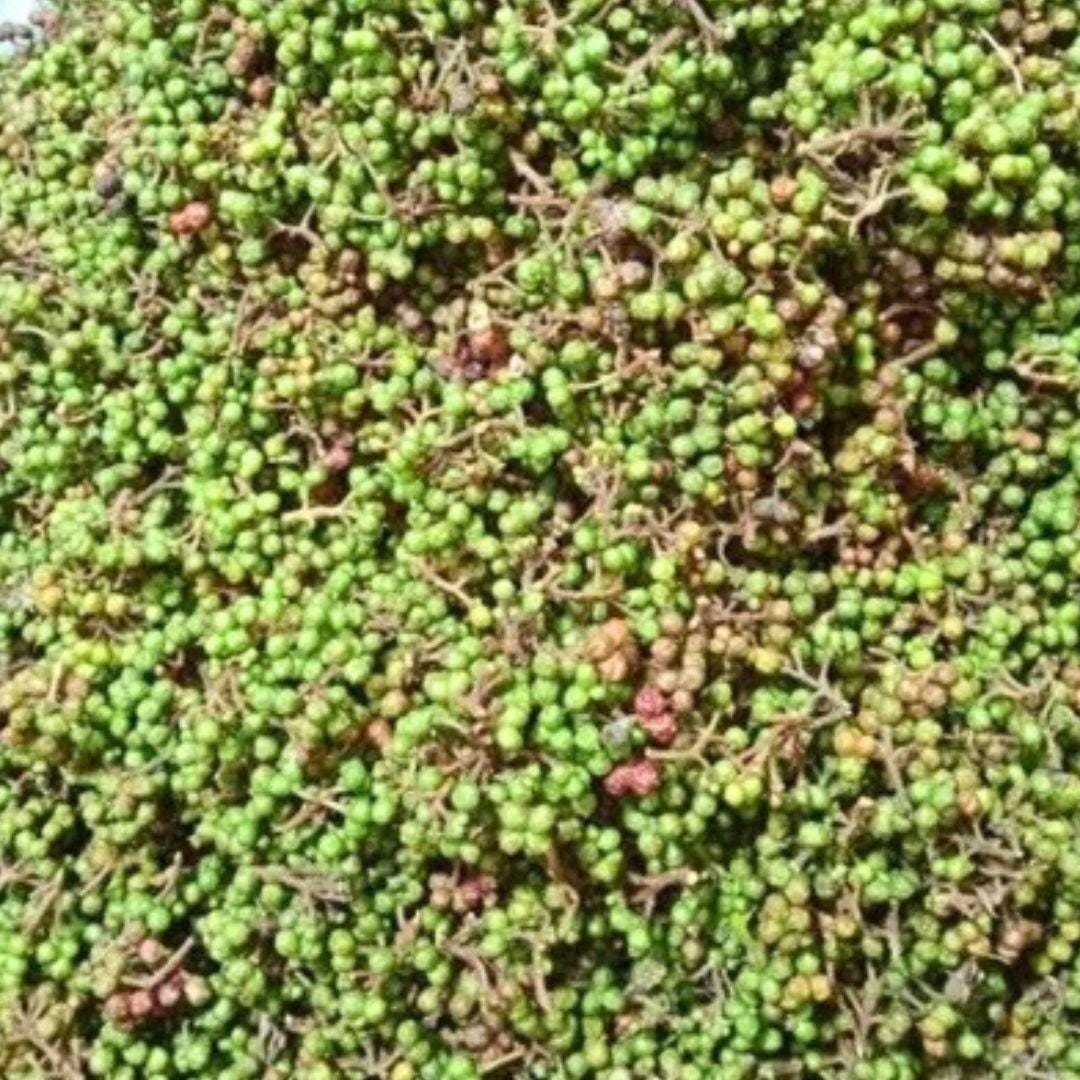 Organic Batak Pepper | Andaliman | Rare Indonesian Spice for Exotic ...