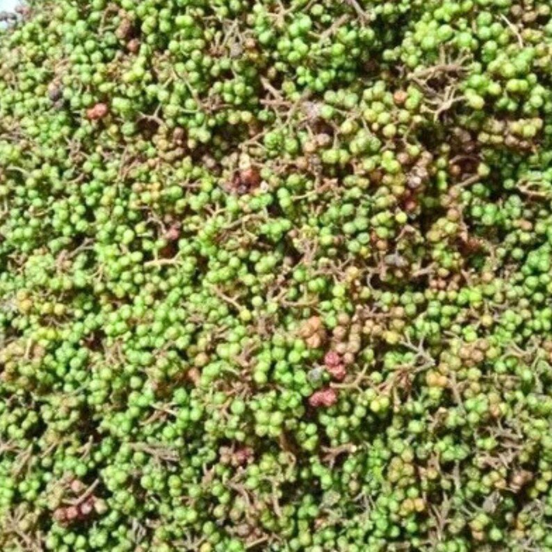 Organic Batak Pepper | Andaliman | Rare Indonesian Spice for Exotic ...
