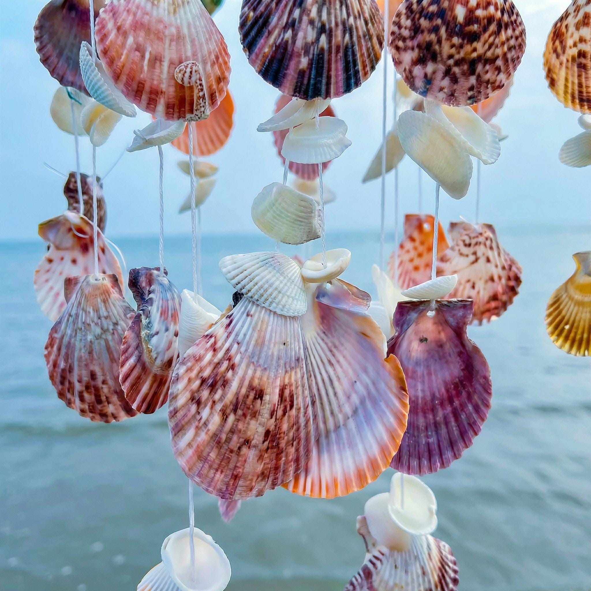 Colorful Seashell Wind Chime With Conch, Coastal Beach Home Decor ...