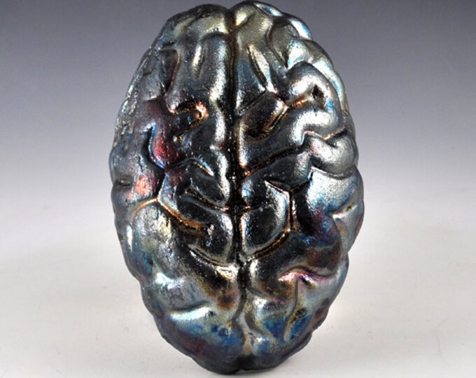 Ceramic Brain Wall Sculpture With Copper Luster Raku Glaze - Etsy