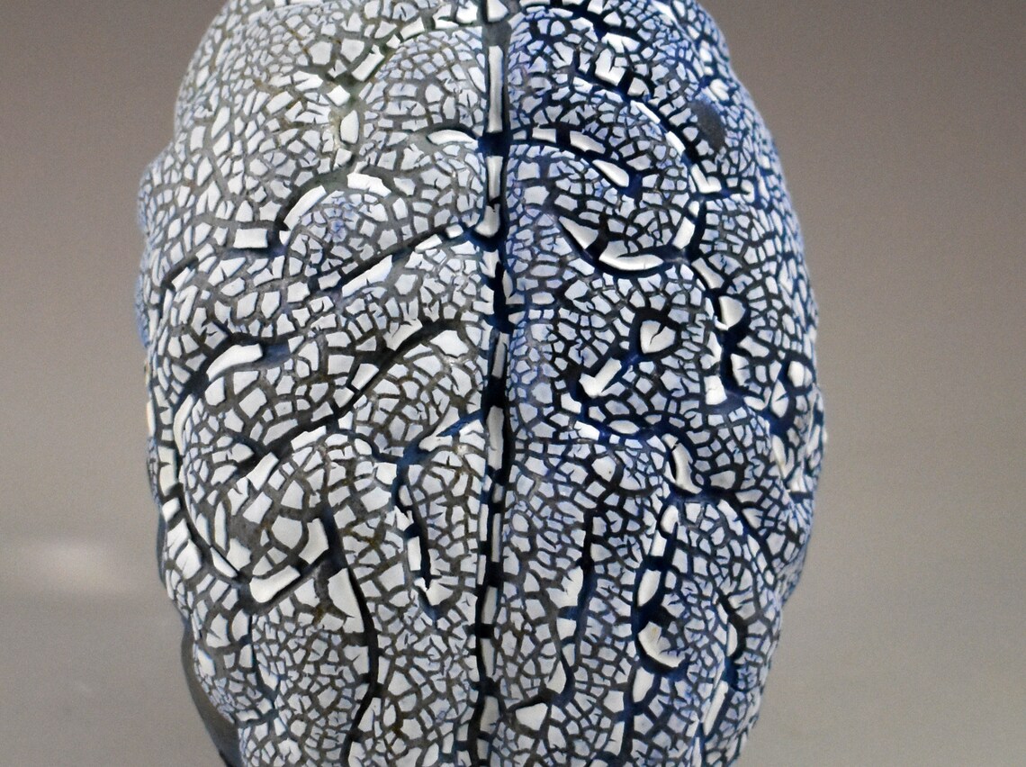Ceramic Brain Sculpture Cone 10 Lichen Gray and Blue Jun23-b8 - Etsy