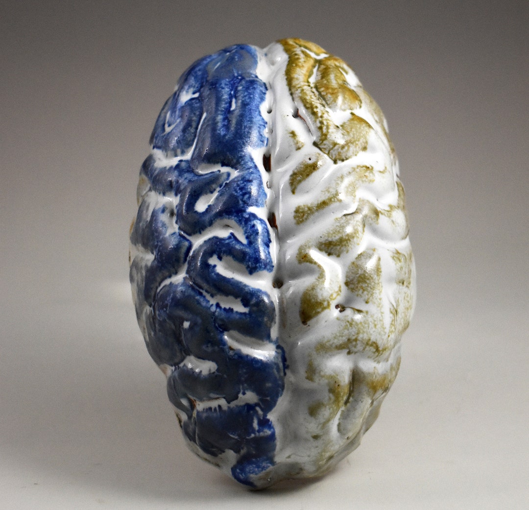 Ceramic Brain Sculpture Soda Fire Blue and White Jun23-b1 - Etsy