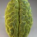 Ceramic Brain Sculpture Dark Green Underglaze Yellow Lichen Nov21-05b ...