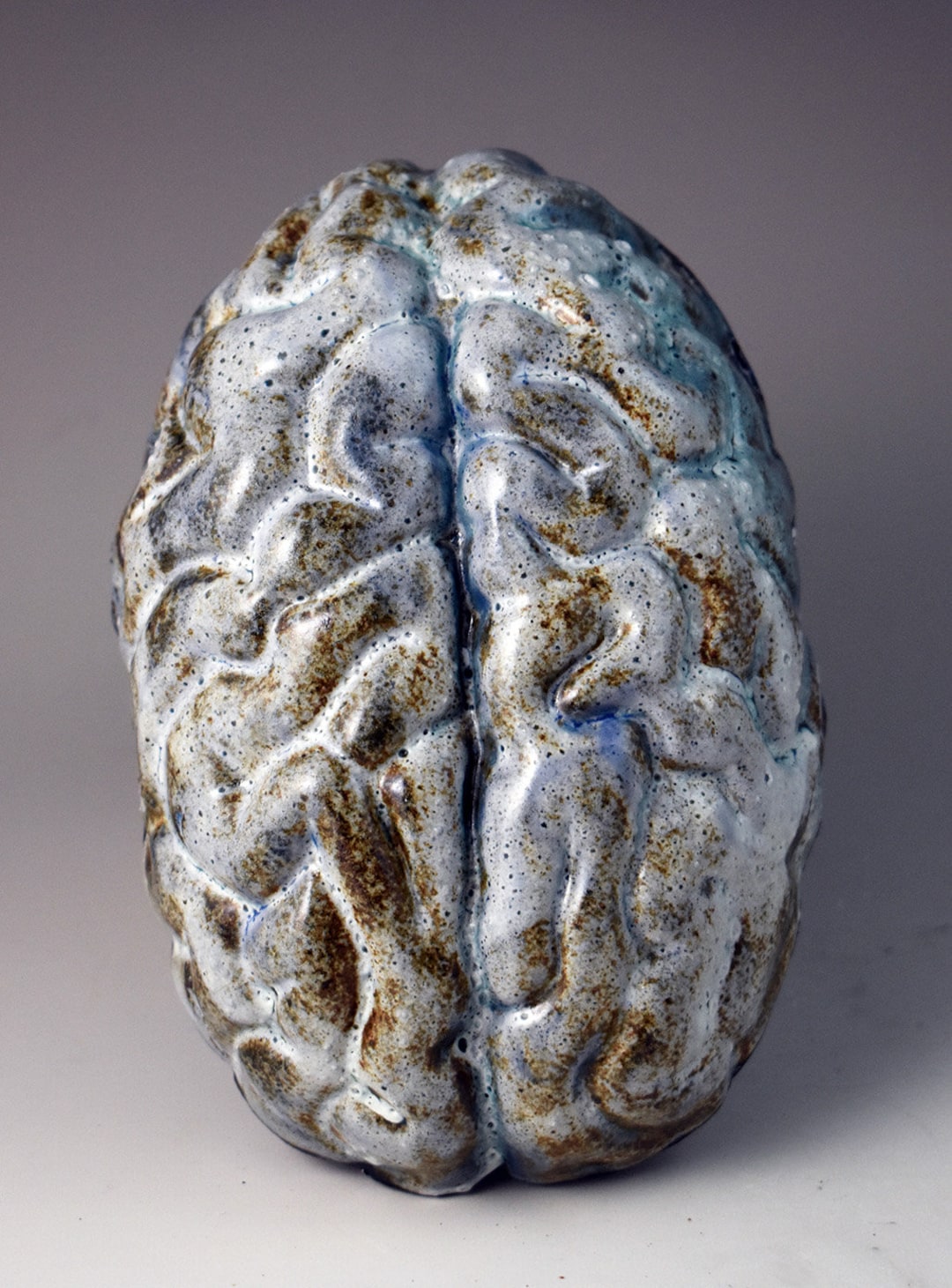 Ceramic Brain Sculpture Soda Fired White Oct21-17b - Etsy