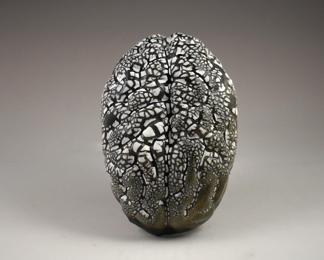 Ceramic Brain Sculpture Crawl Lichen Black Underglaze Soda Fired Jun23 ...