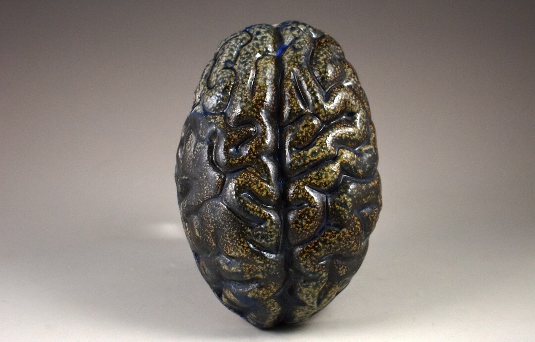 Ceramic Brain Sculpture Soda Fire Black Blue Slip Jun23-b14 - Etsy