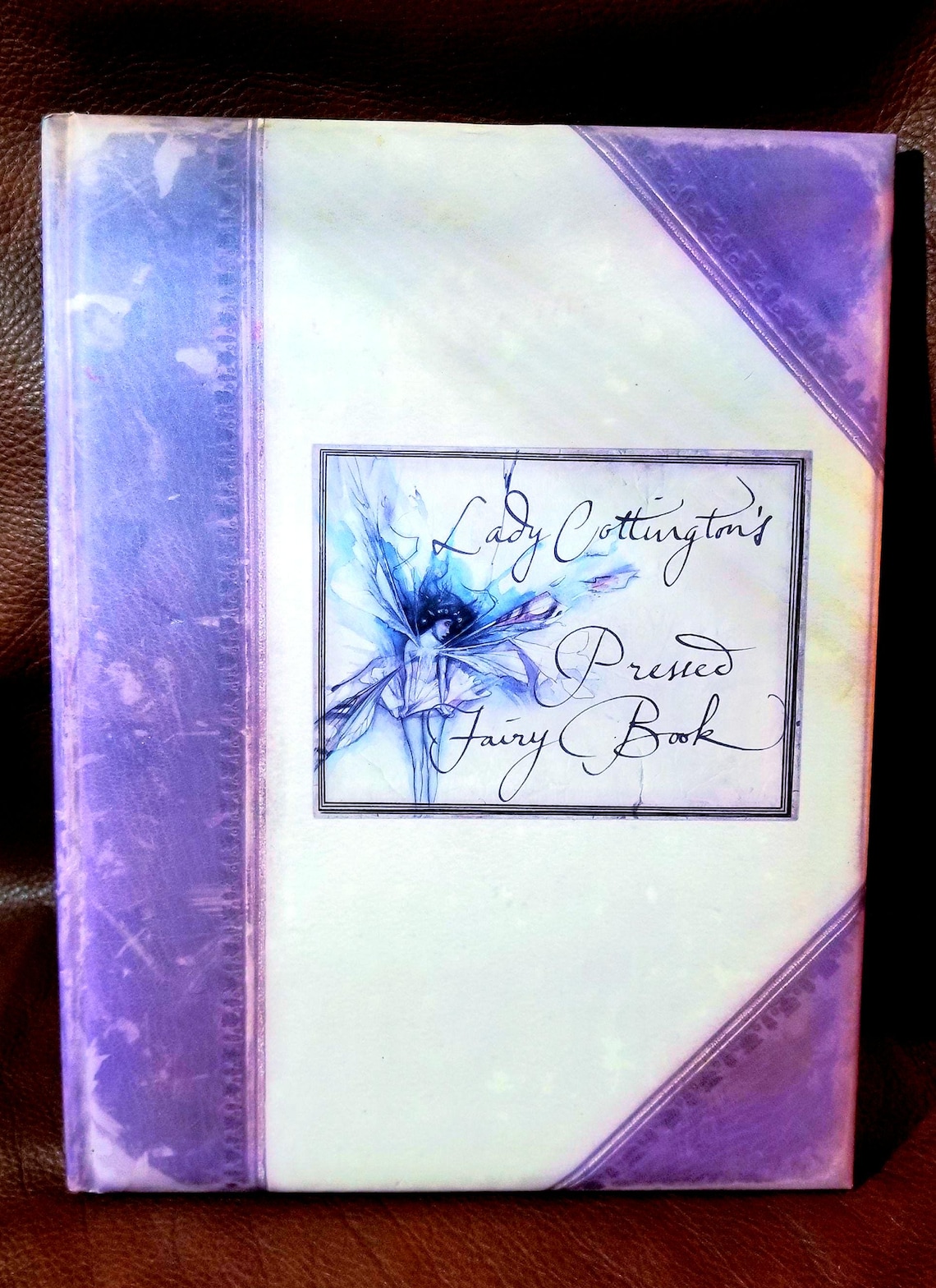 Lady Cottington's Pressed Fairy Book by Terry Jones and Brian Froud - Etsy