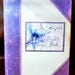 Lady Cottington's Pressed Fairy Book by Terry Jones and Brian Froud - Etsy