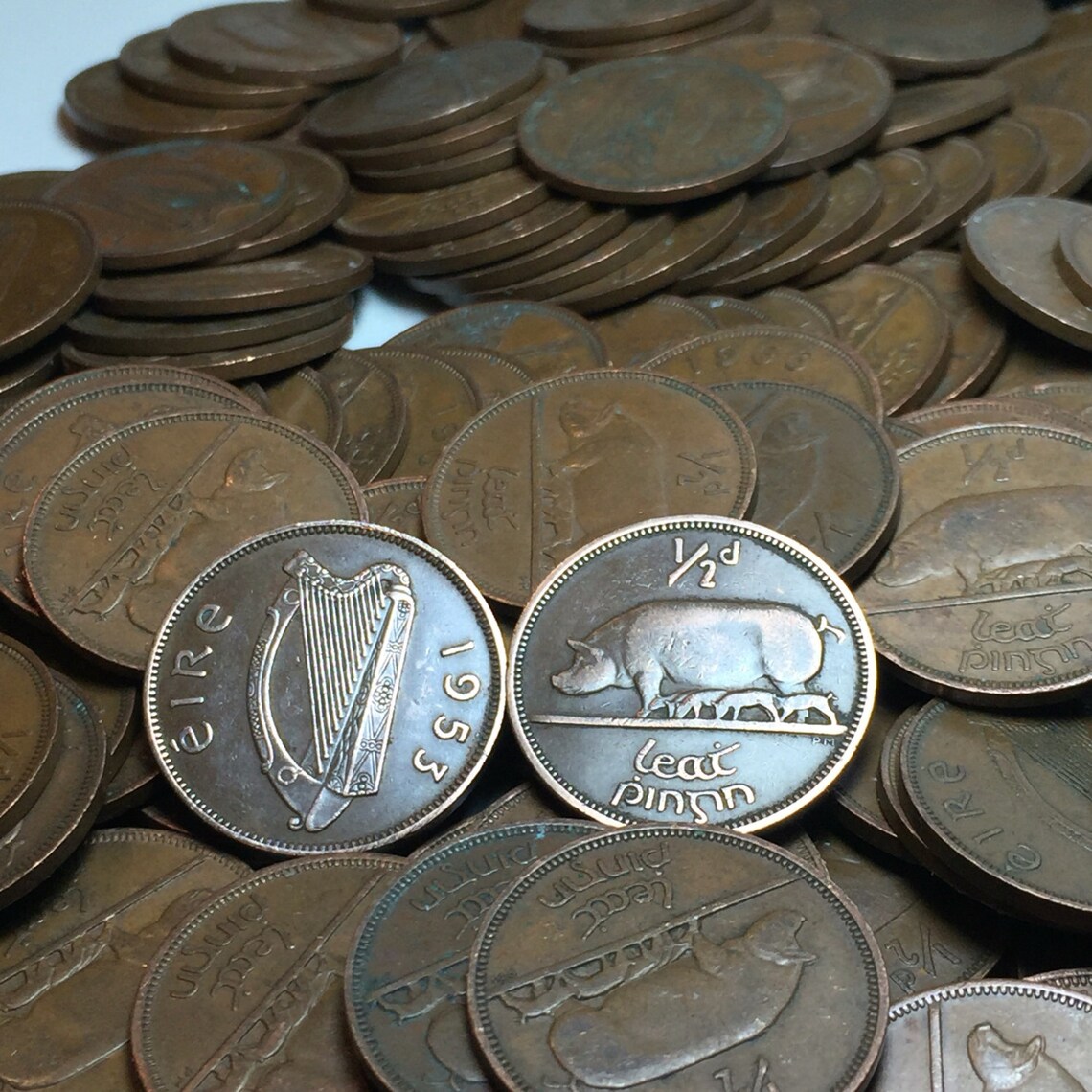 IRELAND COIN Necklace | Pig Pendant Eire Sow Celtic Harp | Gaelic ...
