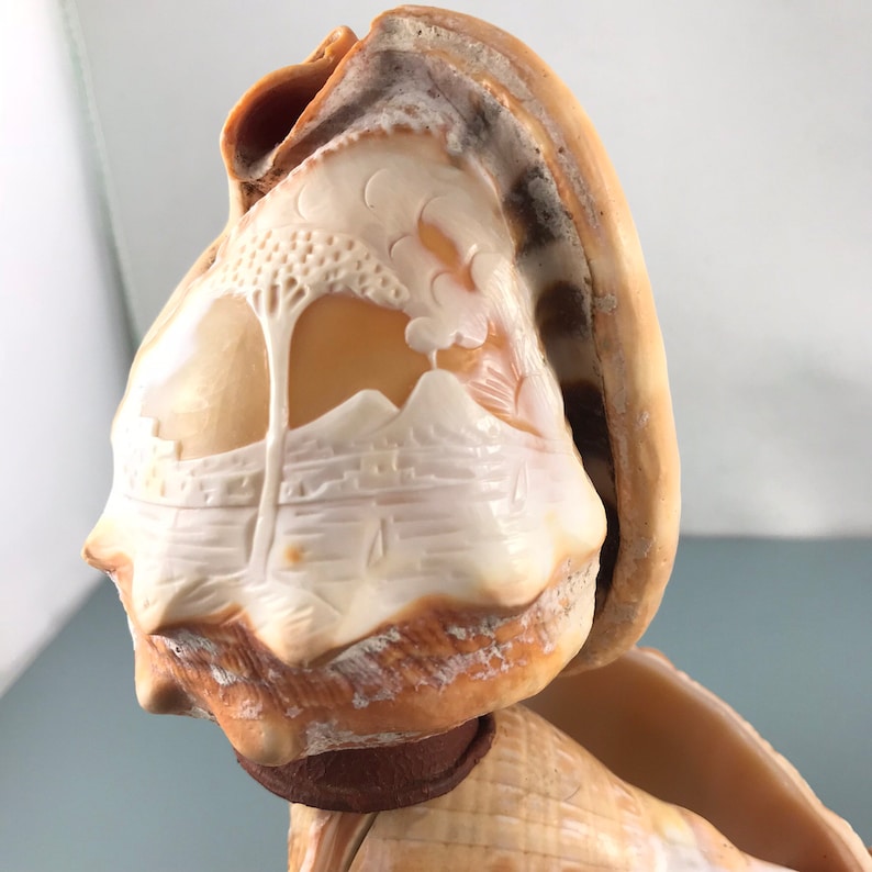 Antique Carved Cameo Conch Shell Lamp Mount Vesuvius Etna | Etsy