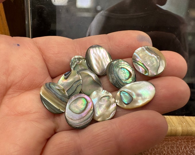 10 Abalone Cabs 13x18mm. Shell Cabs. Abalone Ovals. Flat Abalone Oval ...