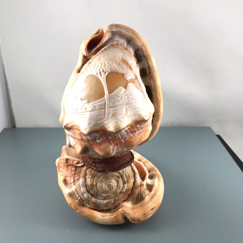 Antique Carved Cameo Conch Shell Lamp Mount Vesuvius Etna | Etsy