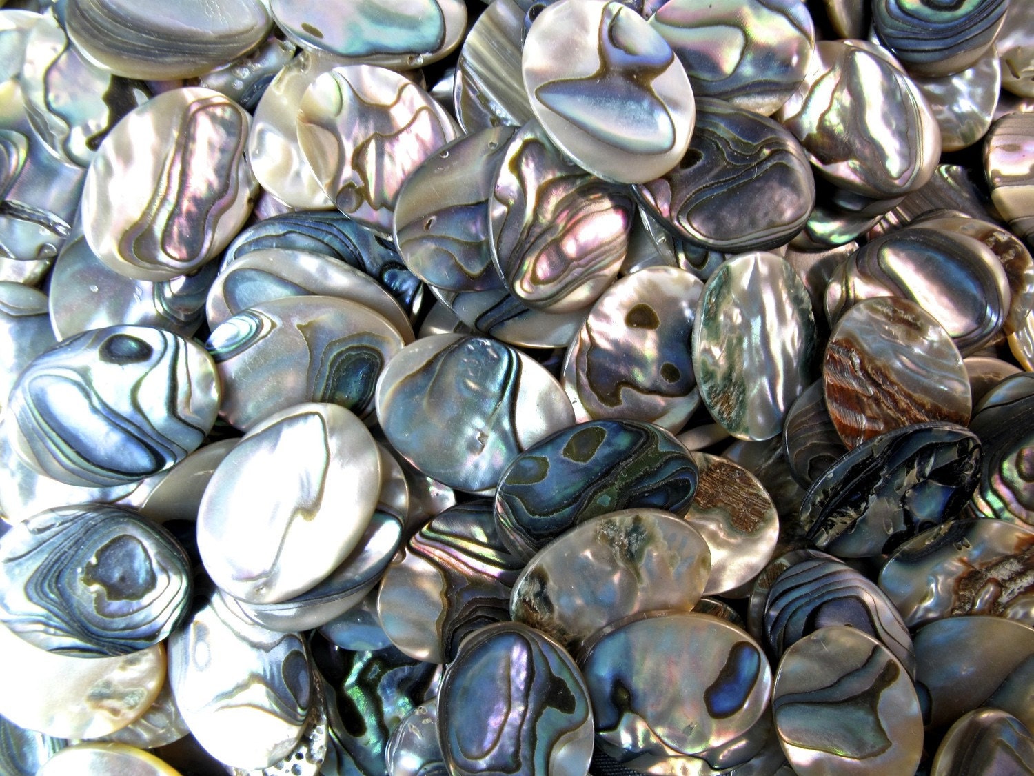 10 Abalone Cabs 13x18mm. Shell Cabs. Abalone Ovals. Flat | Etsy