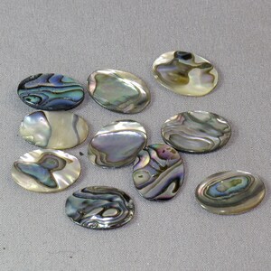 10 Abalone Cabs 13x18mm. Shell Cabs. Abalone Ovals. Flat Abalone Oval ...