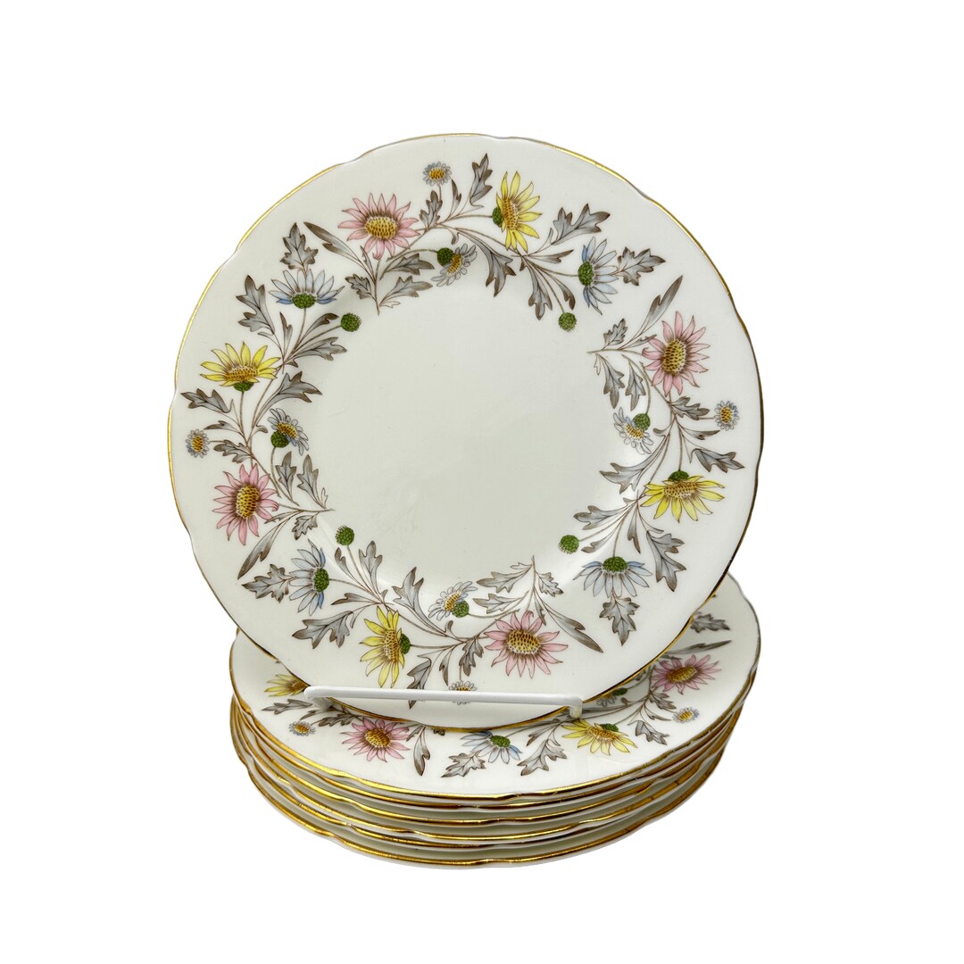 7 Foley Somerset China Plates Lunch Plates, Garden Party Daisy Plates ...
