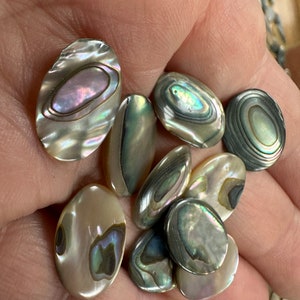 10 Abalone Cabs 13x18mm. Shell Cabs. Abalone Ovals. Flat Abalone Oval ...