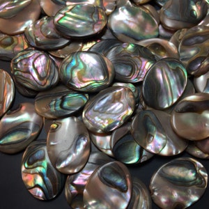 10 Abalone Cabs 13x18mm. Shell Cabs. Abalone Ovals. Flat Abalone Oval ...