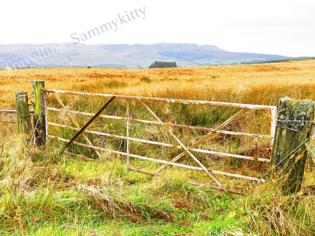Scottish Pasture Gate Photography Print: Countryside Landscape Art - Etsy