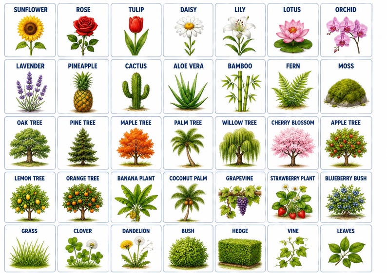 175 Nature Flashcards Bundle Printable PDF for Kids | Animals Fruits ...