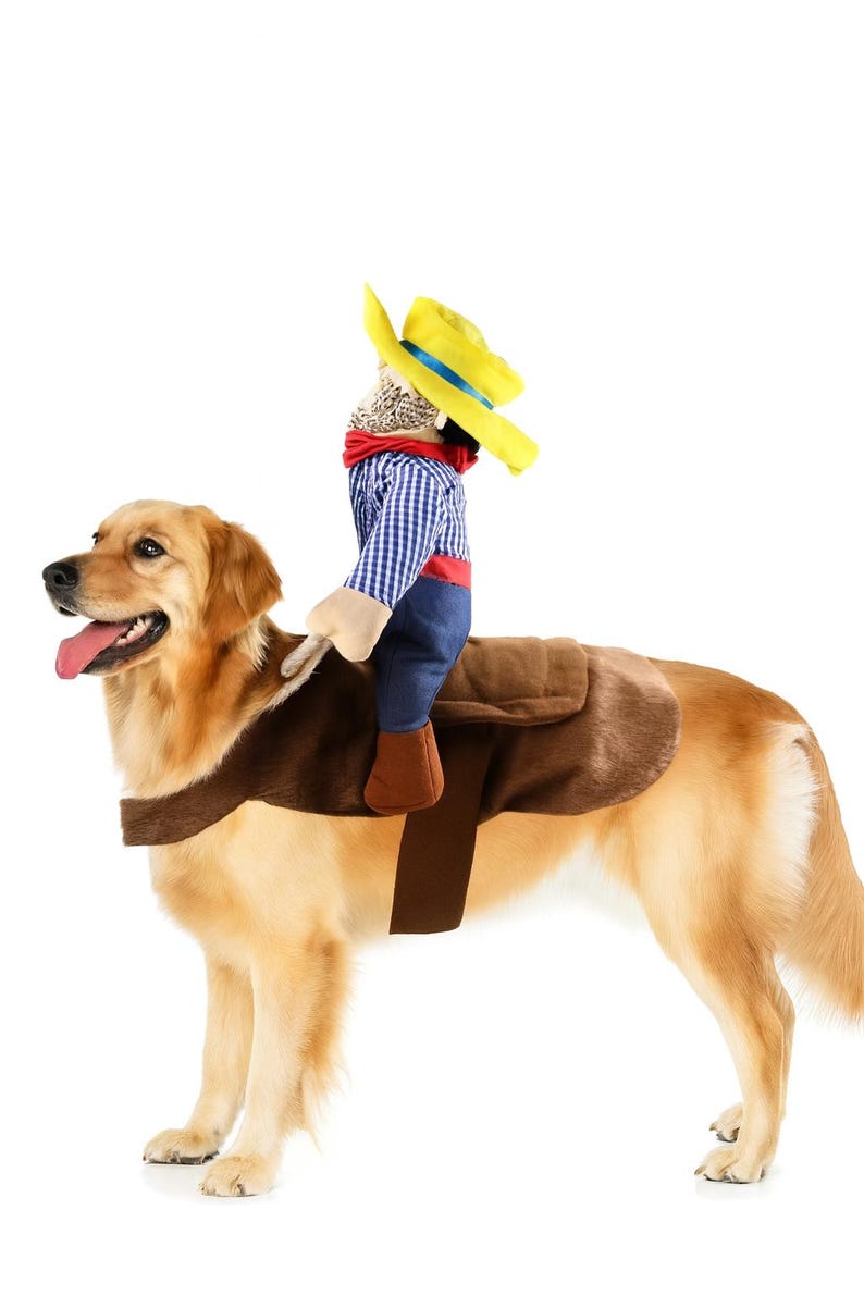 Cowboy Pet Costume – Funny Dog or Cat Rider Outfit With Hat, Western ...