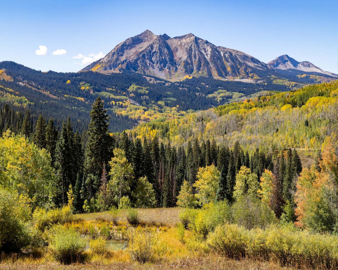 Kebler Pass Fall Photography: Golden Aspen Trees, Colorado Mountain ...