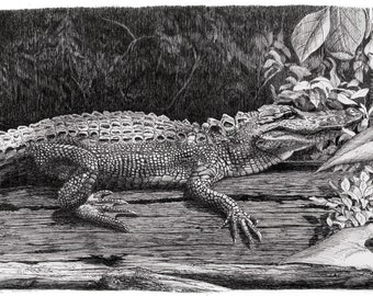 Art Pen and Ink - Etsy