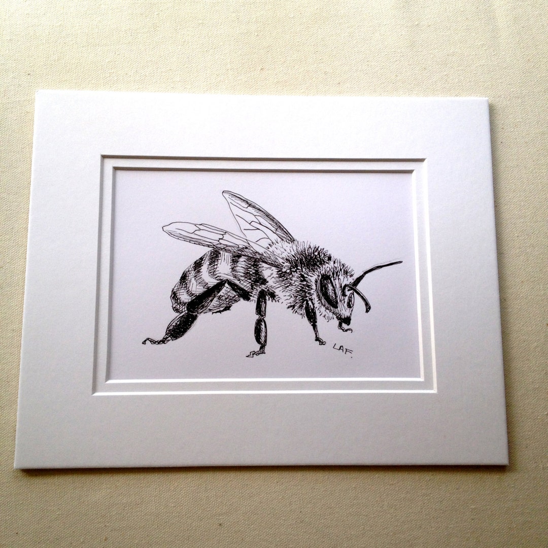 Yellow Jacket Original Drawing,insect Prints,pen and Ink Drawing ...