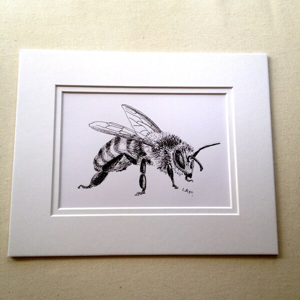 Insect Drawing - Etsy