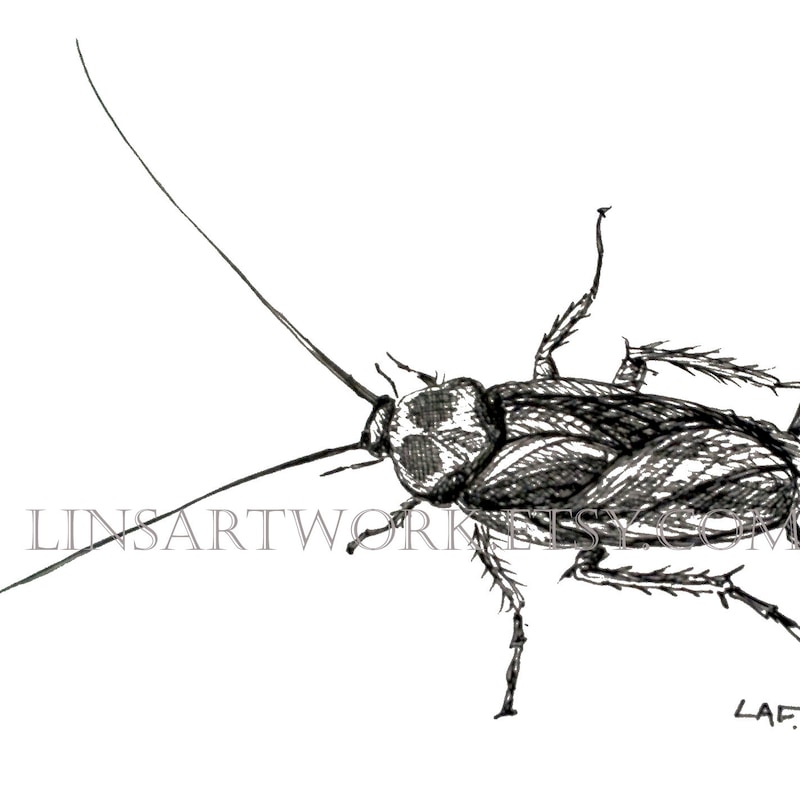 Cockroach - Etsy