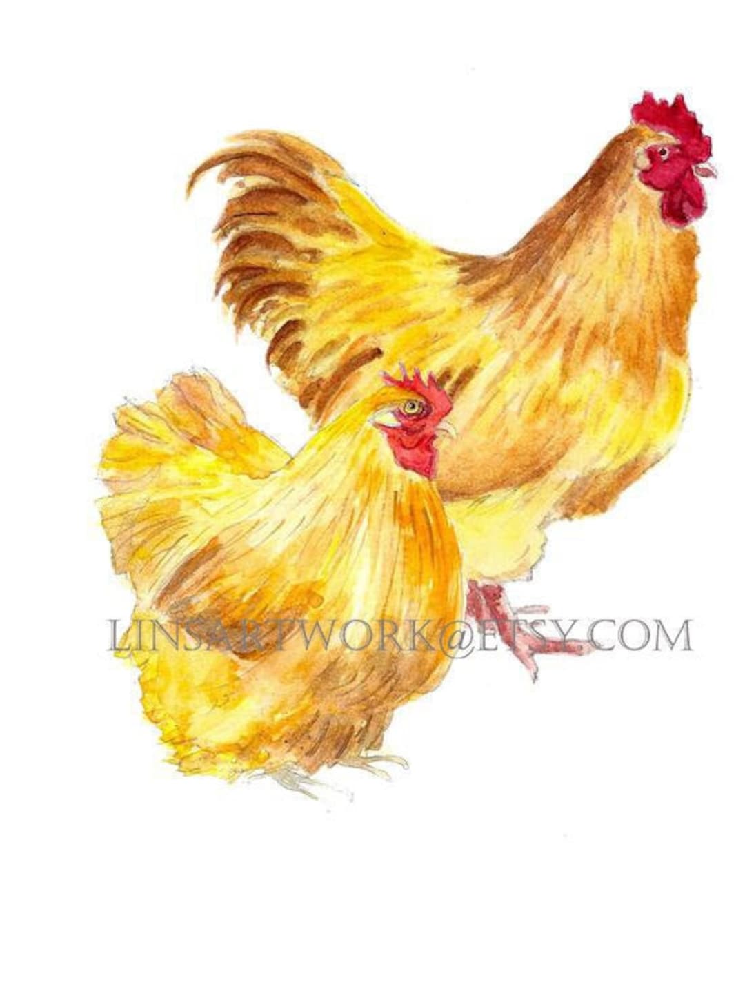 Buff Orpington Rooster and Hen Print,chicken Digital Print,watercolor ...