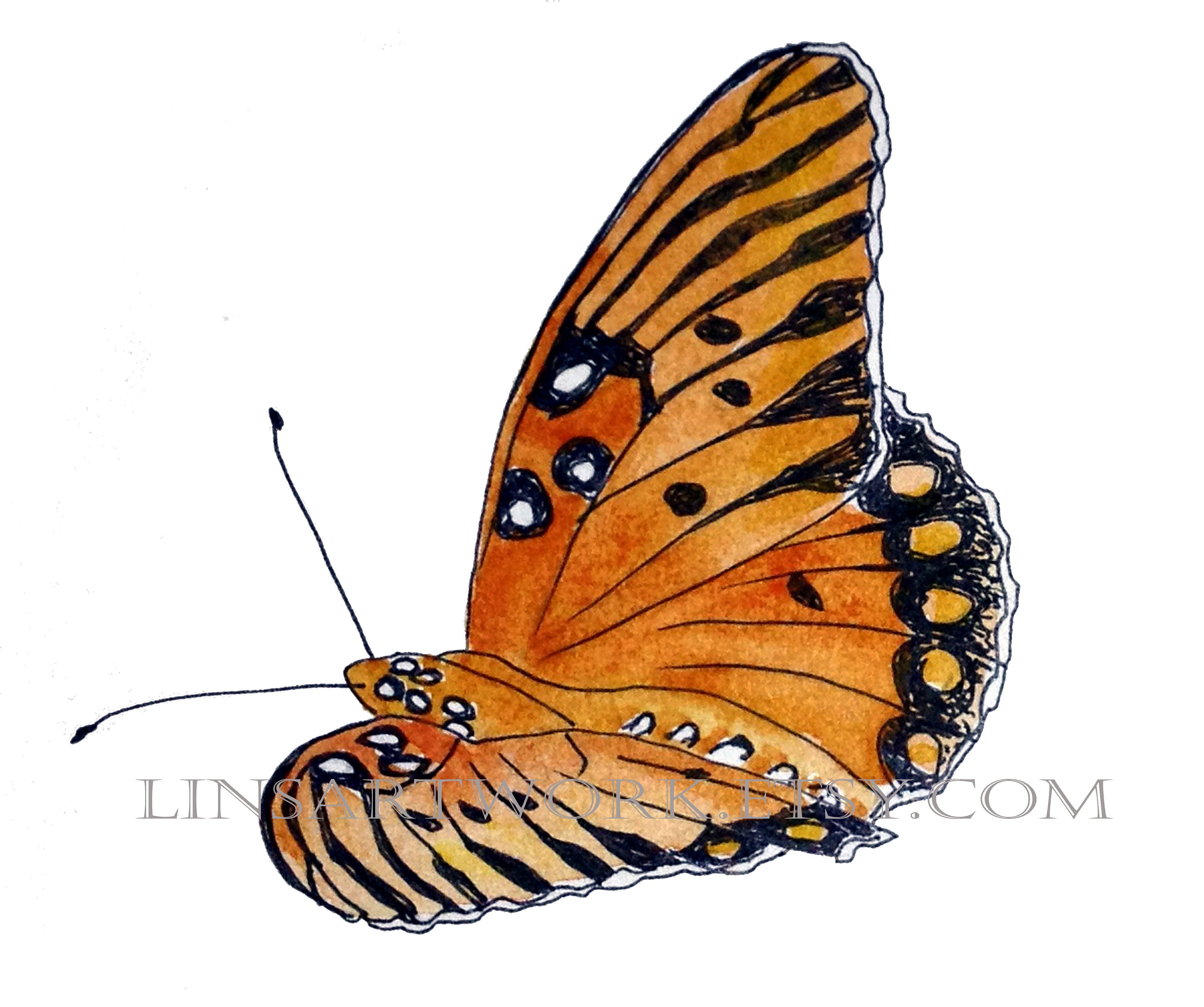 Viceroy Butterfly Pen and Ink Drawing, Bug Art (digital Print) - Etsy