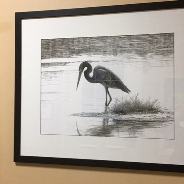 Florida Bird Art - Etsy