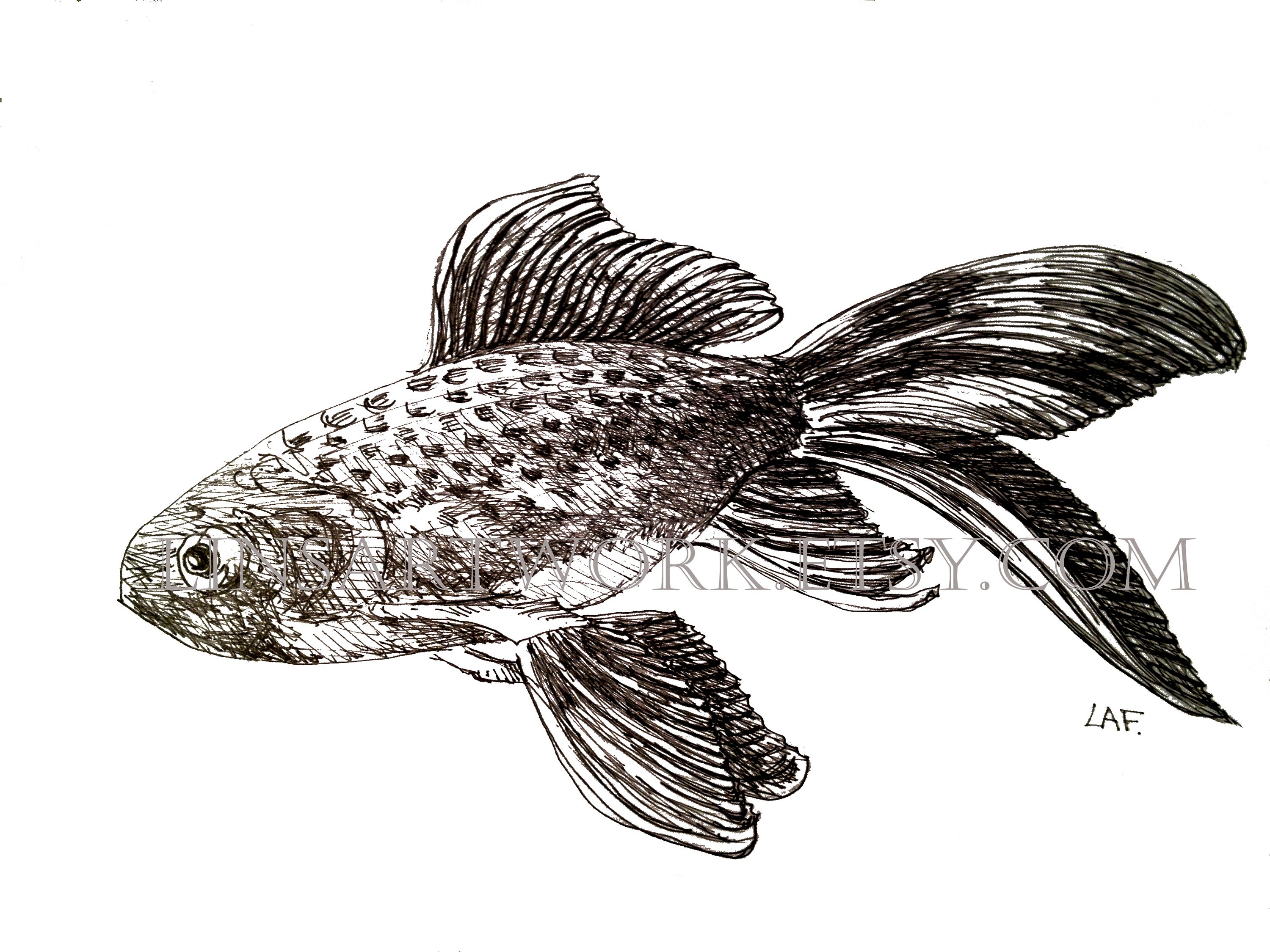 Downloadable Goldfish Print, Goldfish Print,pen and Ink Drawing of a ...
