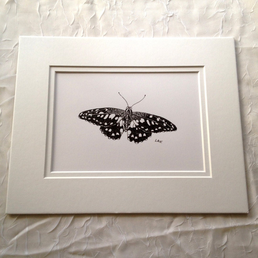 Original Butterfly Pen and Ink Drawing, Matted 5x7 - Etsy