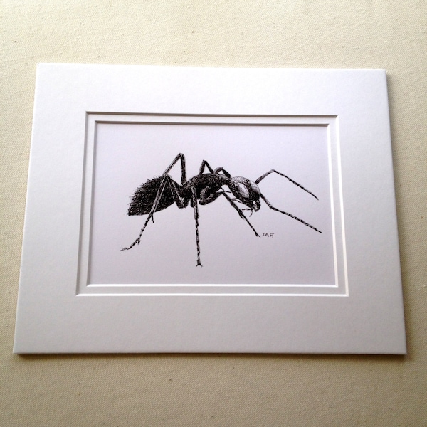 Insect Drawing - Etsy