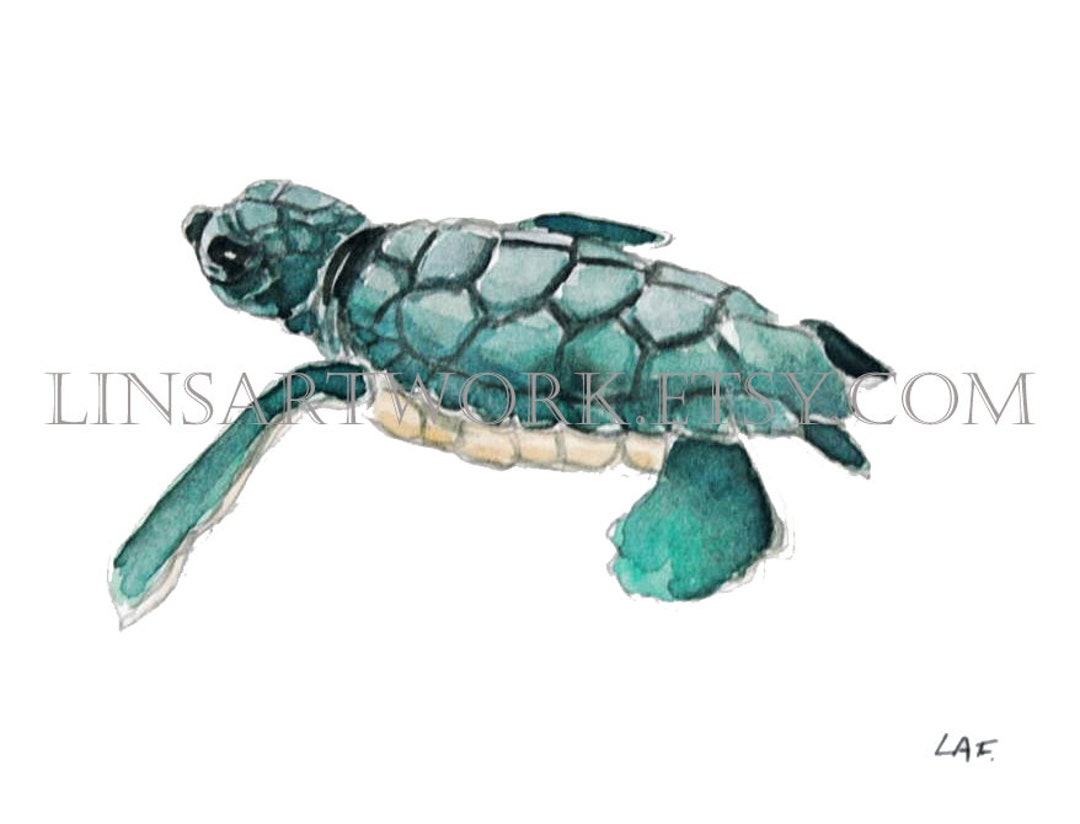 Downloadable Turtle Print, Turtle Print,pen and Ink Drawing of a Turtle ...