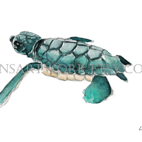 Turtle Ink Drawing - Etsy