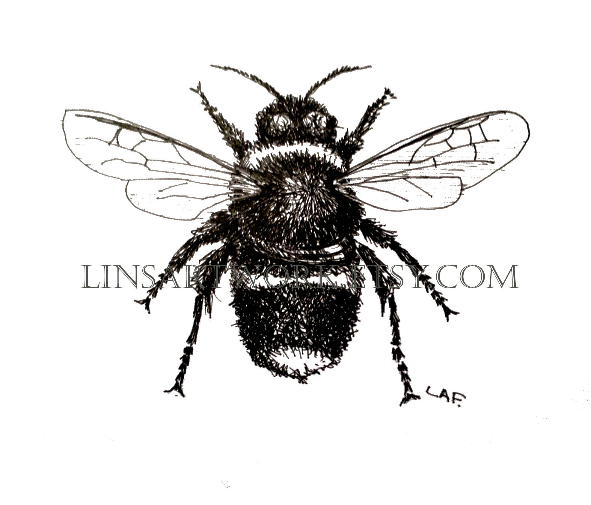 Bee art, Bee prints,Original Drawing -Honey bee in black pen and ink ...
