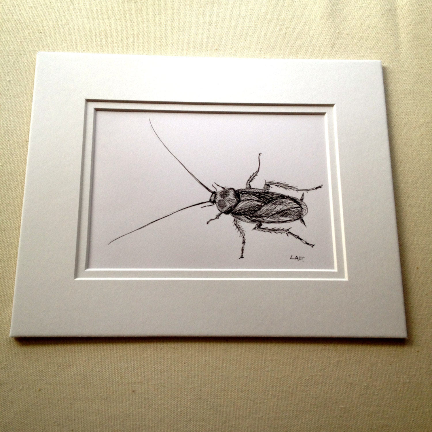 Cockroach Art, Insect Prints, Original -german Cockroach in Black Pen ...