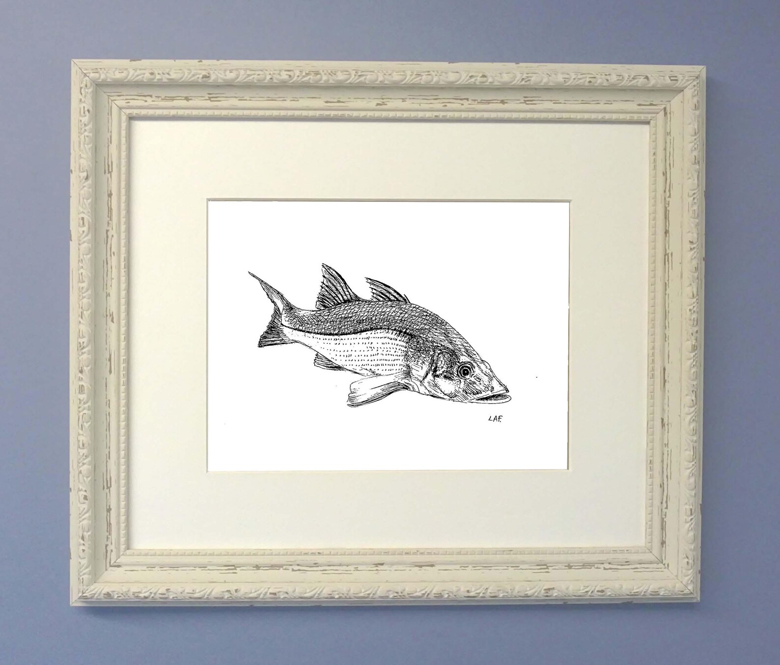 Downloadable Snook Fish Print,pen and Ink Drawing of a Snook ,black and ...
