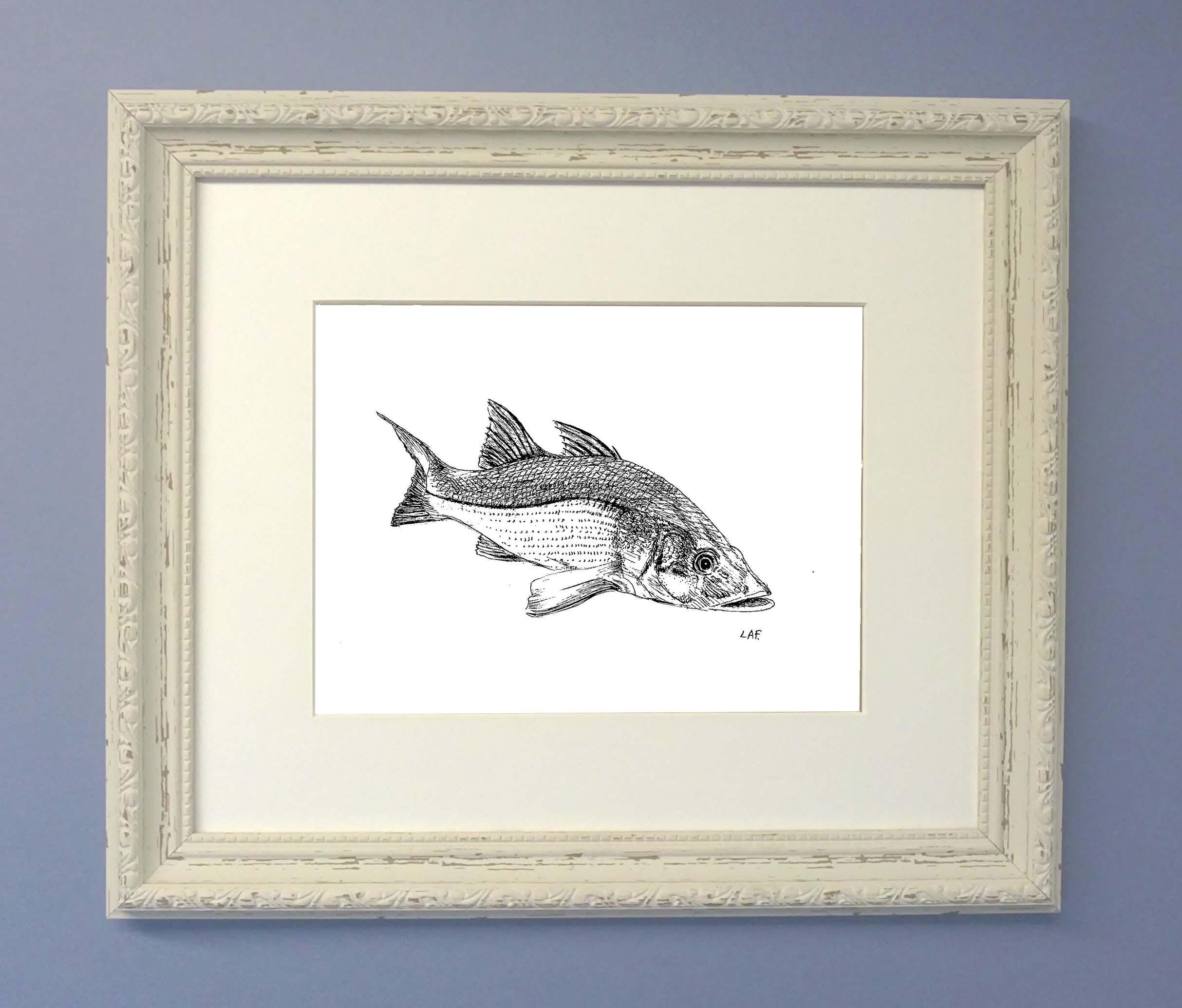 Downloadable Snook Fish Print,pen and Ink Drawing of a Snook ,black and ...