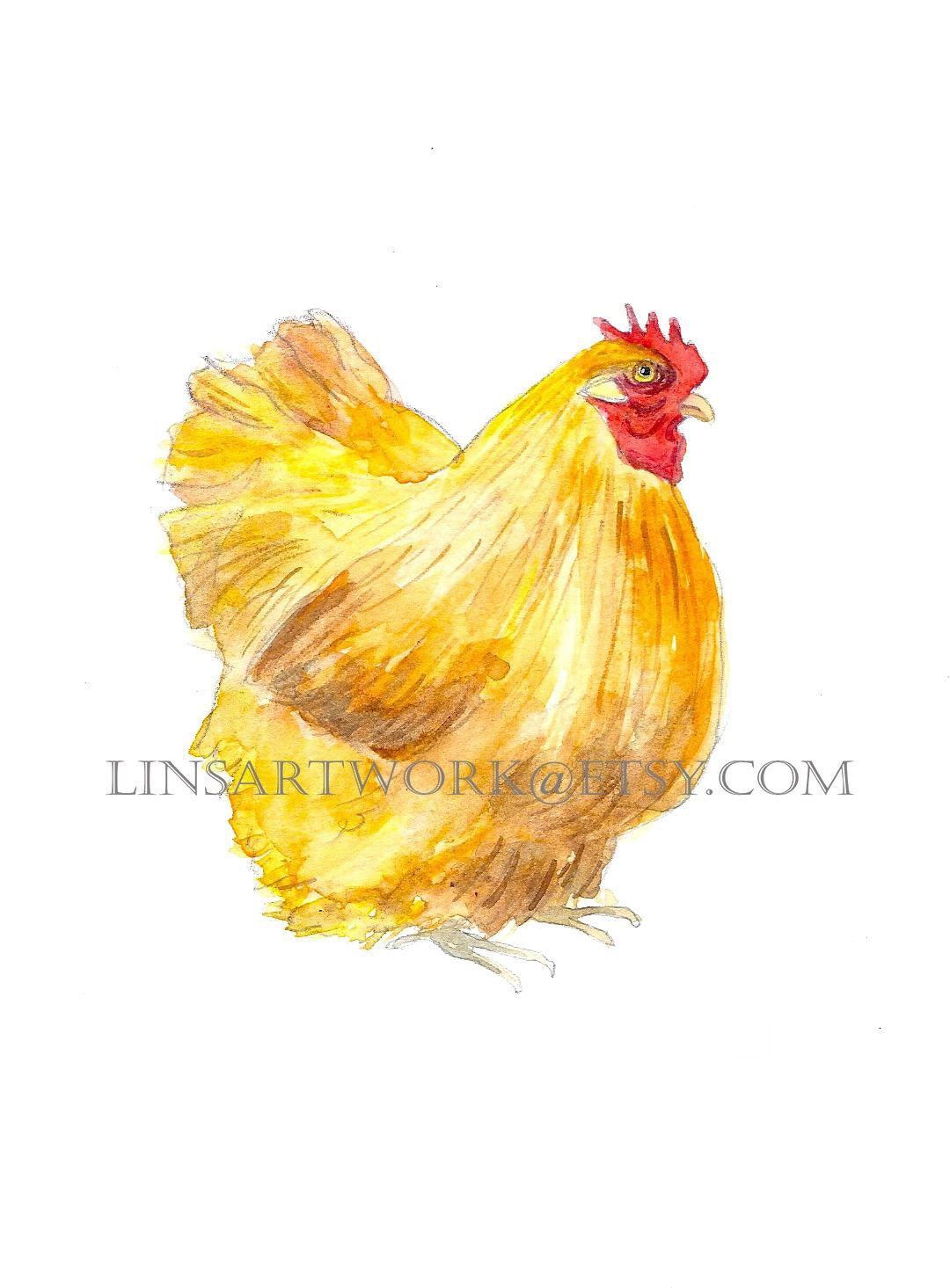 Buff Orpington Hen Print, Chicken Digital Print,watercolor Painting of ...