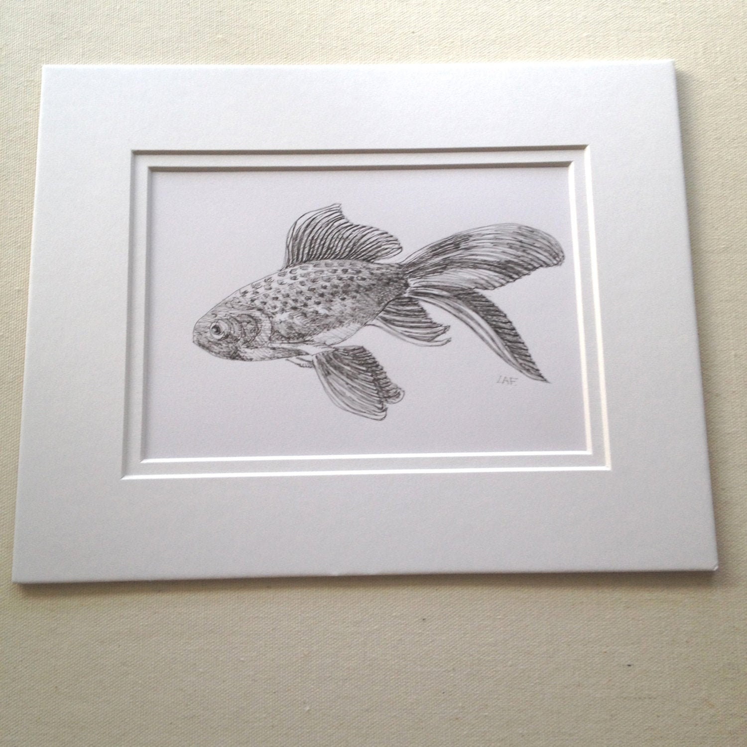 Fancy Goldfish Drawing